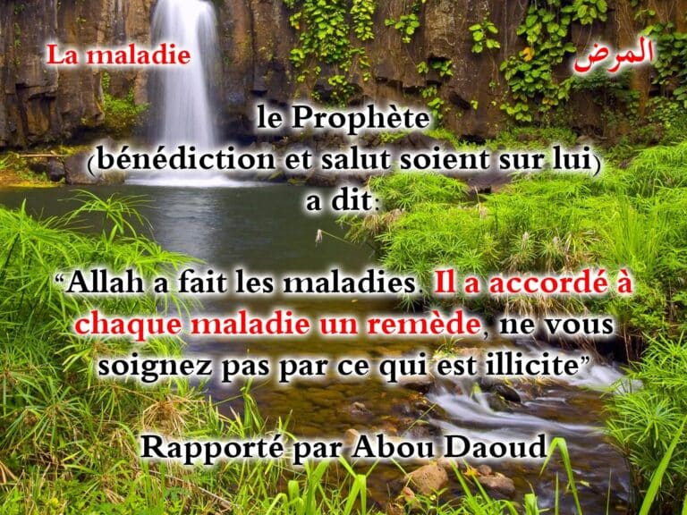 Rokia Charia - Guérir de la Sorcellerie [Article 2025 ] ROQYAONLINE