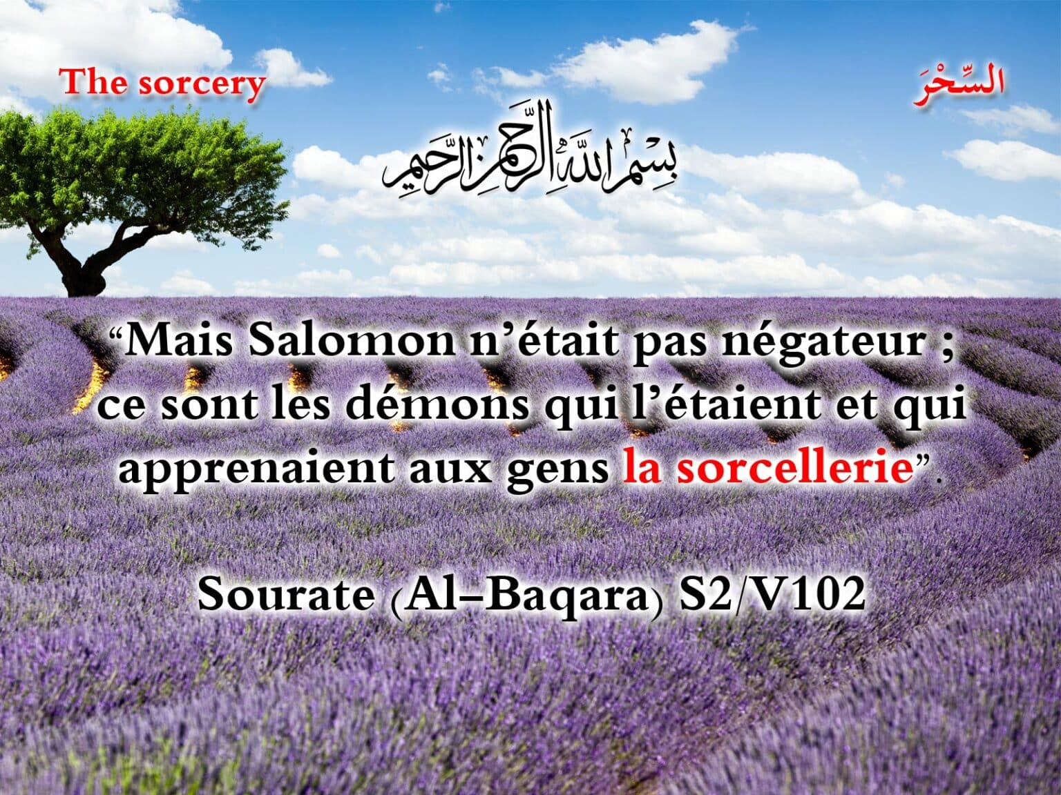 Rokia Charia - Guérir de la Sorcellerie [Article 2025 ] ROQYAONLINE